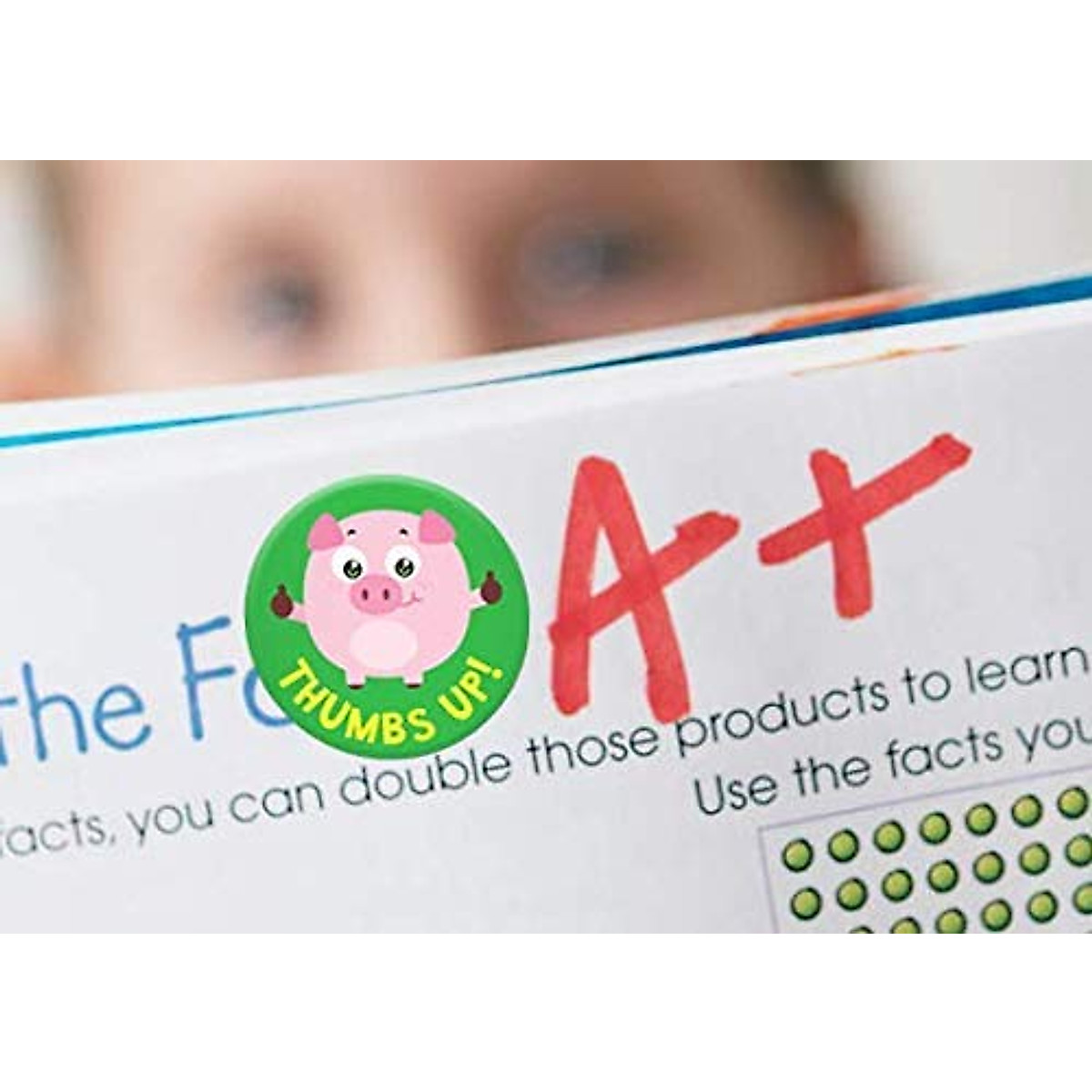 Sweetzer &amp; Orange Reward Stickers for Teachers. 1008 Stickers for Kids in 9 Designs. 1 Inch School Stickers on Sheets. Teacher Supplies for Classroom, Potty Training Stickers, Motivational Stickers