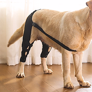 Rear Leg Knee Brace - Dog Leg Support Brace |Dog Acl Knee Brace | Canine Dog Wrist Brace Splint | Dog Hip Brace Support | Rear Leg Knee Brace | Protect Wounds | Prevent Injuries For Small, Medium Dogs