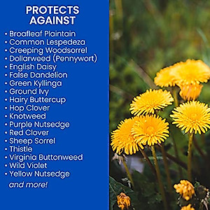 BioAdvanced 3-In-1 Weed and Feed for Southern Lawns, Granules, 12.5 lb, 5,000 Sq Ft