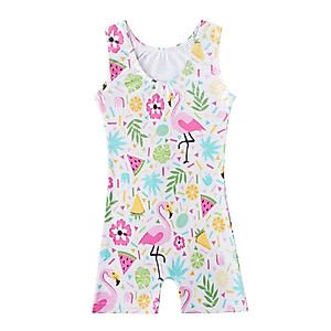 HOZIY Flamingo Leotards For Girls Gymnastics Size 5-6 5t Dance Clothes Floral Watermelon Orange Fruits Shorts Outfits Tumble Uniforme Para Gimnasia Ninas Kids Bodysuits Sparkle