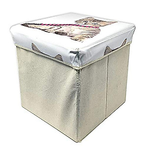 BANBERRY DESIGNS Cat Themed Folding Storage Bin- Padded Kitty Cover - Neutral Tan Color Kitten Design Container with Lid Perfect for Organizing - 12" Square