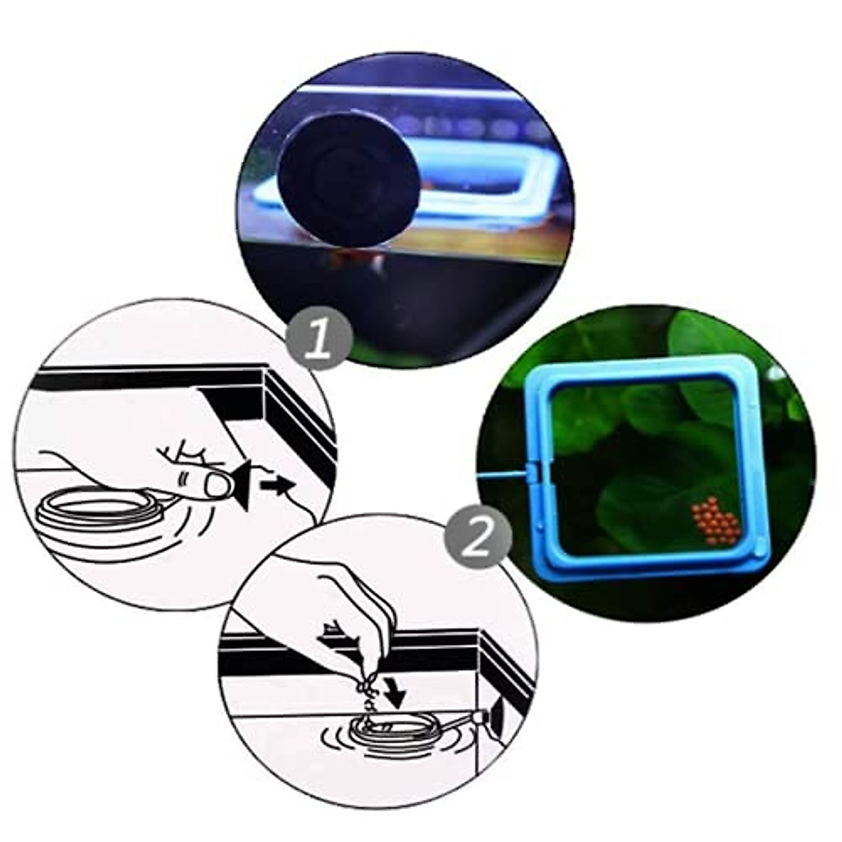 4 Pcs Fish Feeding Ring Square and Round Aquarium Fish Feeding Ring Floating Food Feeder, with Suction Cup