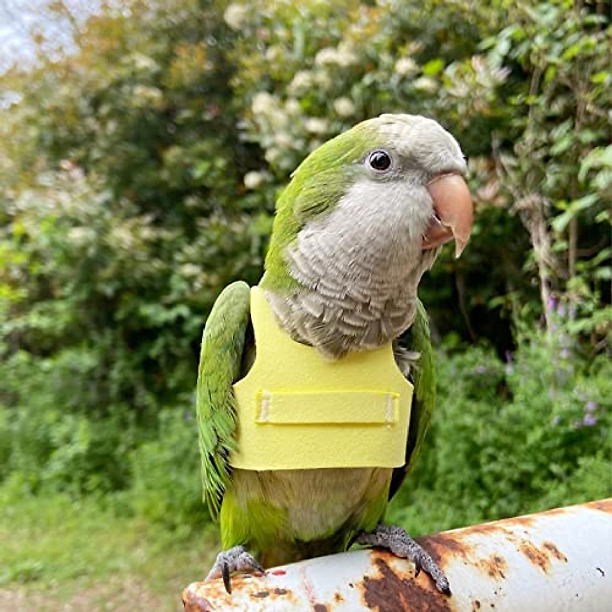 Bird Flight Harness Vest, Parrot Flight Suit with Leash for Parakeets Cockatiels Conures Budgies, Bird Flying Clothes with Rope and Handle for Outdoor Activities Training (L, Yellow)