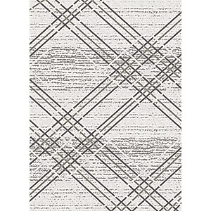 FINOREN Artistic Abstract Area Rug.Lines-Grey,4'x6', Suitable for Bedroom, Living Room, Apartment, Machine Washable Non-Slip Soft Modern Interior Rug,Smudge-Proof, Non-Shedding.