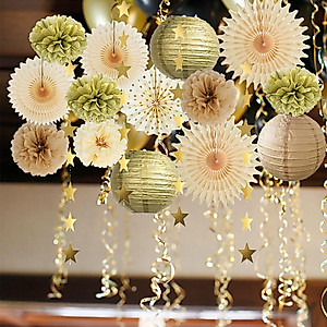 Brown Gold Party Decorations Paper Lanterns Cream Tissue Paper Pom Poms Flowers with Star Garland for Brown Birthday Party Rustic Wedding Baby Shower Retirement Gold Graduation Decorations