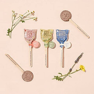 Modern Sprout Seed Lollipops, Garden Seed Packet, Indoor Garden or Outdoor Plants , Organic Seeds, Perrenial Wildflower Mix, 10 Pack