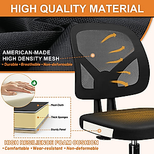 TTD TIANTIANDA Armless Mesh Back Office Computer Desk Chair with Adjustable Height Lumber Support for Adult, Black