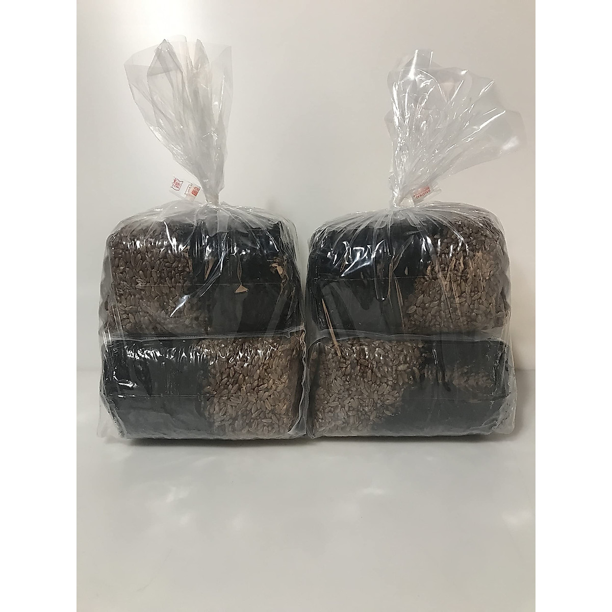 Mushroom Grow Kit - Magic All in One Mushroom Grow Bags - 4 Pack