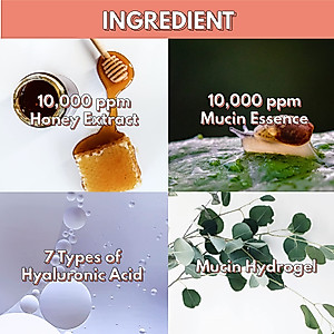 Snail Honey Jelly Face Sheet Mask 10,000 ppm Snail Mucin w/Honey 10 Hydrogel-Coated Tencel Sheets Dehydrated Dry Sensitive Skin Intense Hydration Nourishing Korean Skin Care Women Men, JIN JUNG SUNG