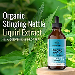 HERBAMAMA Stinging Nettle Root Tincture - Organic Stinging Nettle Root Liquid Extract - Urtica Dioica Herbal Drops Supplement - 4 fl oz