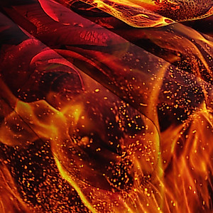 AILONEN Sugar Skull Comforter Set Twin Size,Red and Black Fire Skull Bedding Set,Romantic Red Rose Gothic Skeleton Comforter with 2 Pillowcases,3-Piece