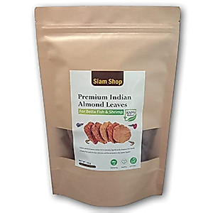 Pufa SIAM Shop Premium Indian Almond Leaves Medium Catappa for Betta Fish & Shrimps|Best Betta Fish / Shrimp Leaves |Indian Catappa Almonds Naturally sourced Almond Leaves Help Boost immunity50 g.