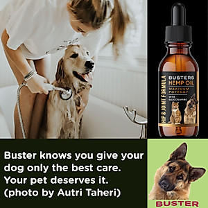 Busters Hip and Joint Hemp Oil for Dogs Formula with Glucosamine, 2Pack 2Month Supply, Pain Relief for Cats, and Pets, Advanced Mobility Support