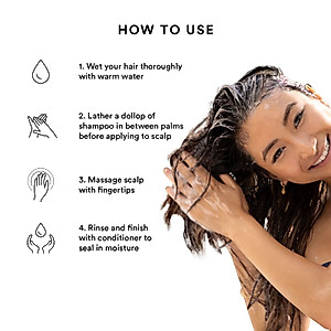 WOW Skin Science Red Onion Black Seed Oil Shampoo Increase Gloss, Hydration, Shine - Reduce Itchy Scalp, Dandruff & Frizz - No Parabens or Sulfates - All Hair Types (16.9 Fl Oz (Pack of 1))