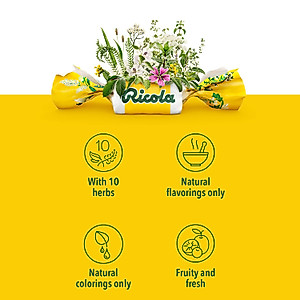 Ricola Berry Medley Bag | Cough Suppressant Throat Drops | Naturally Soothing Long-Lasting Relief - 19 Count (Pack of 1)