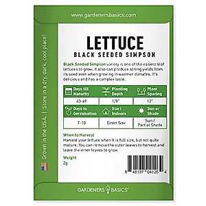 Green Leaf Lettuce Seeds For Planting - (Black Seeded Simpson Variety) Heirloom, Non-GMO Lettuce Variety- 2 Grams Seed Great For Spring, Summer, Fall, Winter Garden and Hydroponics by Gardeners Basics