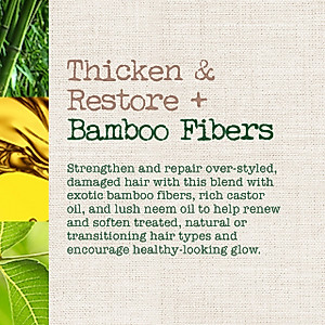 Maui Moisture Thicken & Restore + Bamboo Fibers Strengthening Shampoo to Soften Transitioning or Natural Hair & Renew Brittle Hair, Vegan, Silicone & Paraben-Free, 13 fl oz