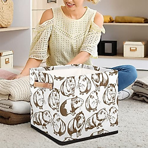 TropicalLife Cute Guinea Pigs 13x13x13 Inch Large Fabric Storage Cubes, Collapsible Cube Storage Bins Organizer Boxes with Leather Handles Cube Baskets for Organizing Closet Shelves