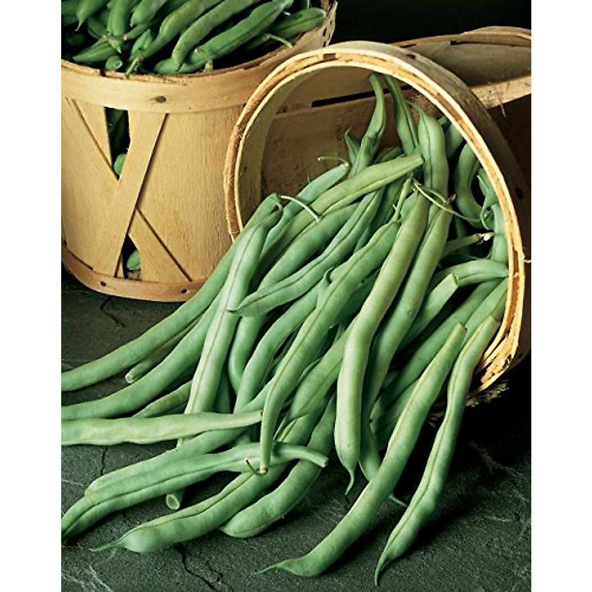 Burpee Stringless Green Pod Bush Bean Seeds 4 ounces of seed