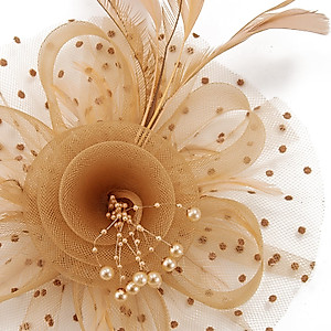 fghuim Women's Organza Church Kentucky Derby British Bridal Tea Party Wedding Hat Feather Hair Clip Gold Fascinators Hat (Gold)