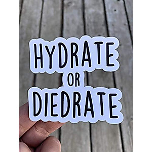 Hydrate or Diedrate Sticker, Laptop Sticker, Water Bottle Sticker, Phone Sticker, Window Sticker, Drink Water Sticker, Funny Sticker