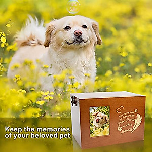 GAGILAND Pet Ashes Keepsake Box, Pet Urns for Dogs or Cats Ashes with Keepsake Vial, Funeral Wooden Pet Cremation Urns with Photo Frame, Memorial Urns for Pet Ashes Dog Cat (Large)