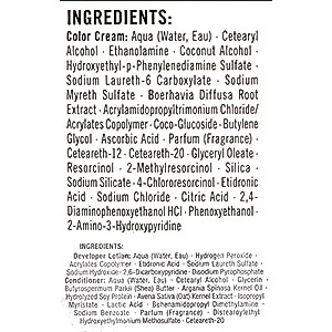 Schwarzkopf Simply Color Permanent Hair Color, 6.0 Cool Brown