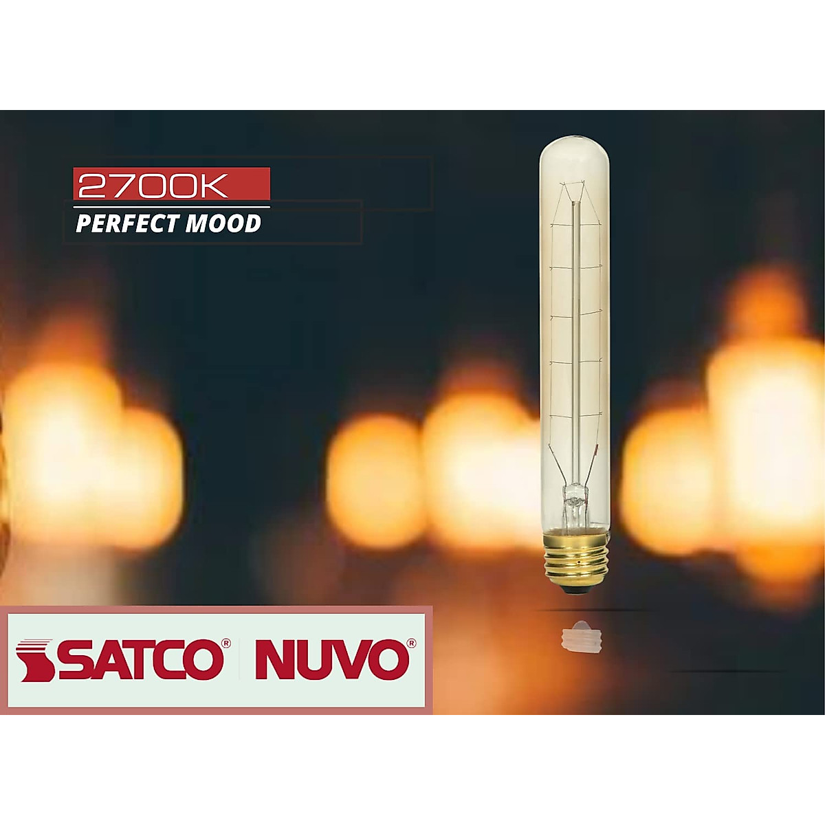 Satco 60 Watt T9 Incandescent; Clear; 3000 Average Rated Hours; 230 Lumens; Medium Base; 120 Volt for Pendant Lighting Fixtures, Decorative for Dining Room, Studio, Lounge, Restaurants (6 Pack)