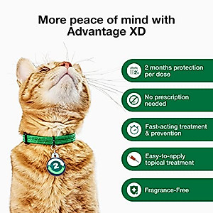 Advantage® XD NEW Flea Prevention & Treatment for Large Cats Over 9 lbs, 2 Topical Doses, 4-Month Coverage, Long Lasting