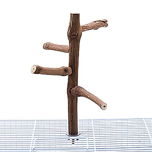 Filhome Bird Perch Stand Toy, Natural Wood Parrot Perch Bird Cage Branch Perch Accessories for Parakeets Cockatiels Conures Macaws Finches Love Birds(9.8" Length)