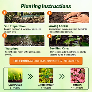 Outsidepride 10000 Seeds Annual Pink Wild Flower Seed Mix for Planting