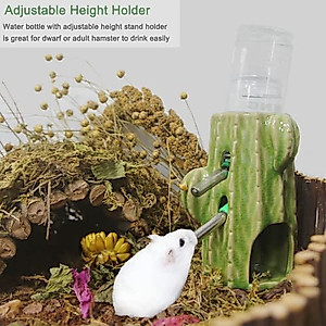 Zhilishu Hamster Water Bottle, 2-in-1 Adjustable Hamster Water Bottle for Glass Tank 80ML Gerbil Water Bottle with Stand, No Drip Ceramic Water Bottle Holder for Dwarf Hamster Mice Rat (Light Green)