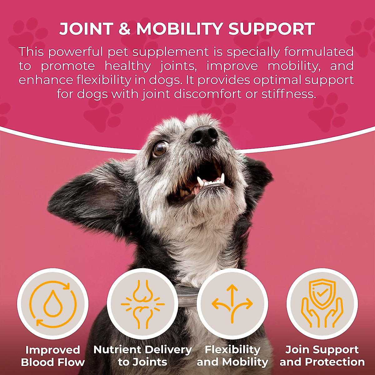 Kea Pets Doggie Condiments Joint & Mobility Support Natural Dog Supplement for Healthy Joints, Mobility, and Flexibility in Dogs
