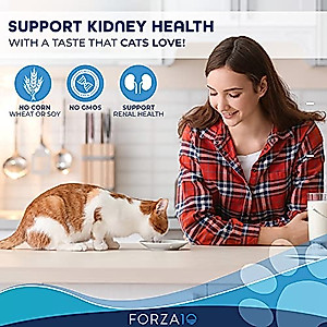 Forza10 Wet Renal Care Cat Food with Lamb, 3.5 Ounce Can Kidney Support and Renal Health, 12 Pack