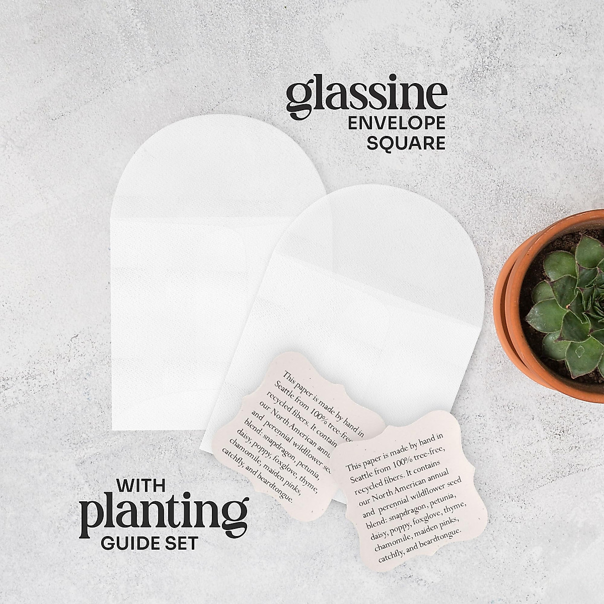 Seed Bloom Set of 24 Purple Butterfly – Plantable Seed Paper for Bridal Shower Weddings, and Gifts