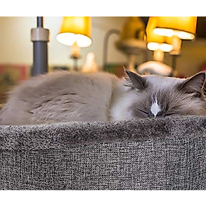 Cat Bed - Heart Pet Bed for Cats or Small Dogs, Ultra Soft Short Plush, Anti-Slip Bottom, Washable High Resilience PP Cotton, Comfortable Self Warming Autumn Winter Indoor Sleeping Cozy Kitty Teddy