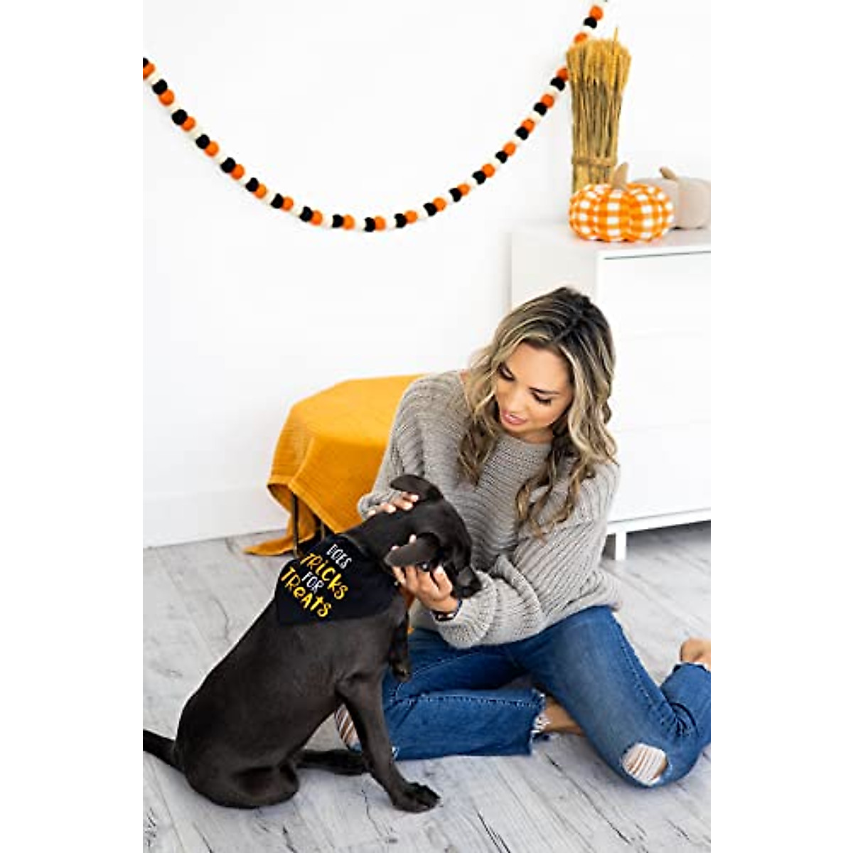 Pearhead Trick or Treat Bandana, Fall Holiday Dog Apparel, Halloween Dog Costume, Dog Slip On Collar Accessories, Small/Medium, S/M