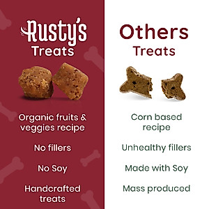 Premium Dog Multivitamin Supplement (170 Chews) - Mealtime Multi - with CoQ10 - Probiotics - Pumpkin - Immune Support - Promotes Better Joint Mobility - Healthy Skin & Coat - Made in The USA