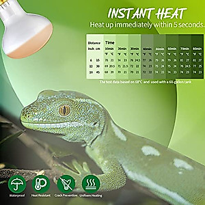 75W Reptile Heat Lamp Combo Set-Reptile Day and Night Heat Lamp ,UVA Basking Spot Bulb for Bearded Dragon Lizard Turtle Snake Chameleon Use, 4 Pack