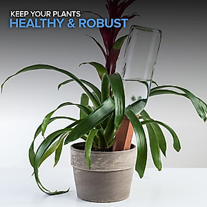 Modern Innovations Ceramic Terracotta Self Watering Spikes (10 Pack) Vacation Automatic Plant Waterer Devices, Indoor/Outdoor Planter Insert, Terra-Cotta Stakes for Potted Plants, Auto-Water System