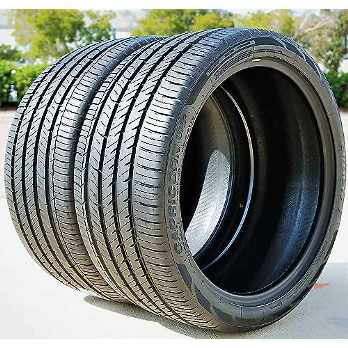 Evoluxx Capricorn UHP All-Season High Performance Radial Tire-275/35R19 275/35/19 275/35-19 100Y Load Range XL 4-Ply BSW Black Side Wall