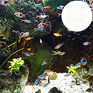 Kichvoe 6pcs Fish Tank Divider Grid Aquarium Grid Dividers Fish Tank Divider Plates Mesh Divider Aquarium Supplies Fish Tank Grid Divider Bottom Partition Net Aquarium Bottom Divider