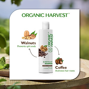 Organic Harvest Everyday Shampoo: Coffee & Walnuts | For Dry & Frizzy Hair | Anti-hairfall Shampoo For Men & Women | 100% American Certified Organic | Sulphate and Paraben-free - 250ml