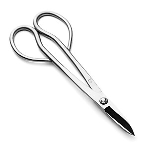 TianBonsai Bonsai Scissors Bonsai Tools (T 180 scissors)