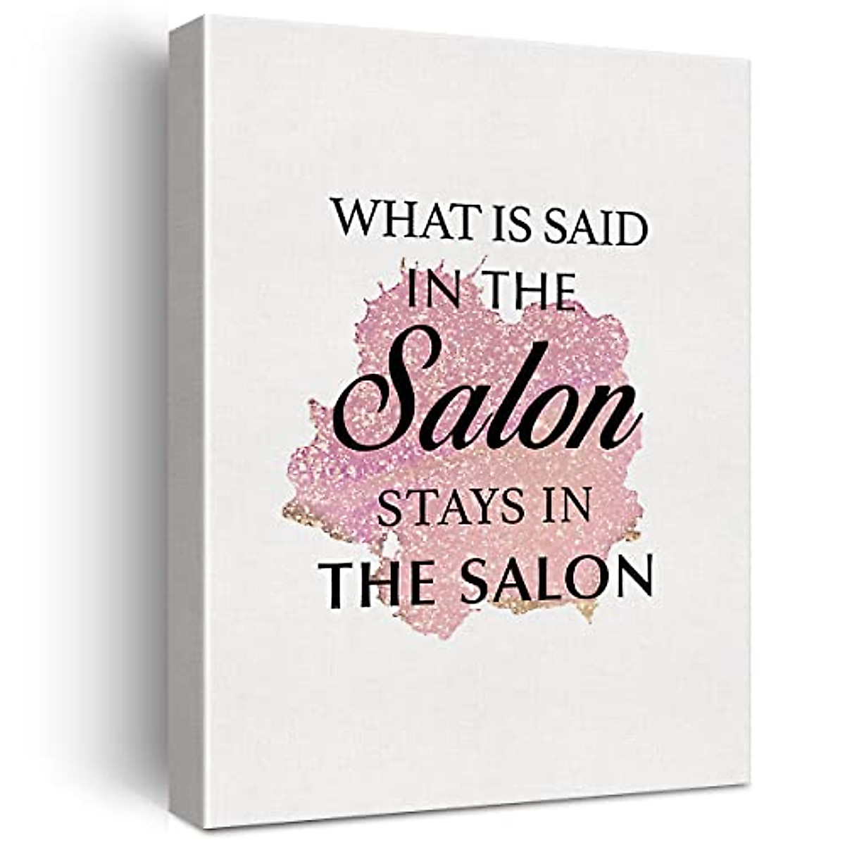 LEXSIVO Pink Salon Modern Print Canvas Wall Art Home Decor What is Said in the Salon Stays in the Salon Painting 12x15 Canvas Poster Framed Ready to Hang