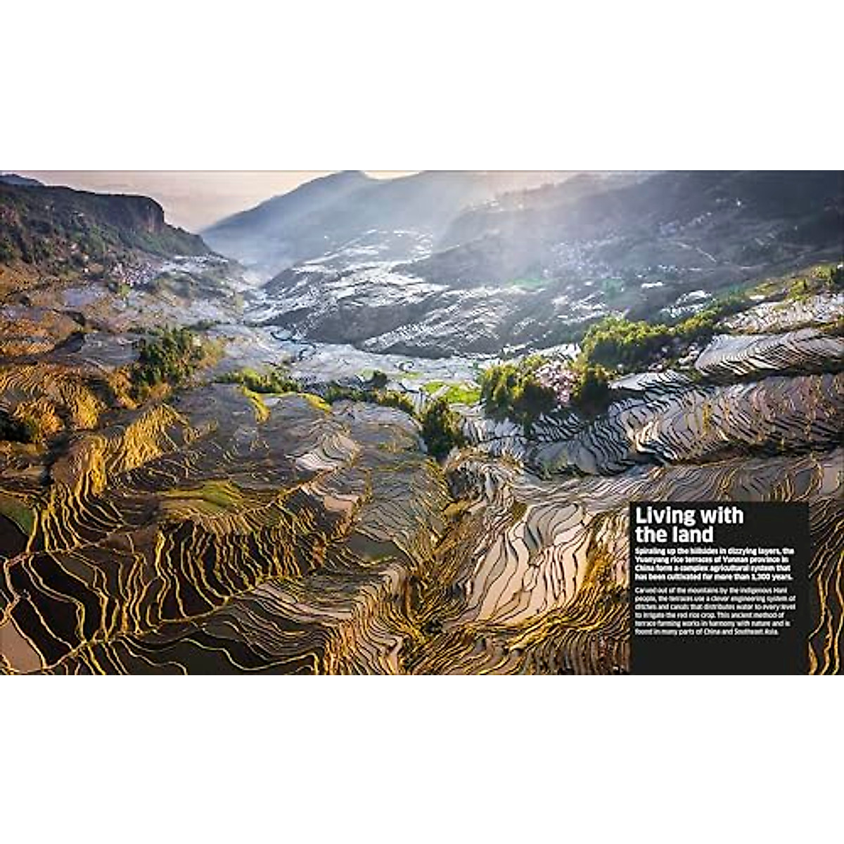 Knowledge Encyclopedia Planet Earth!: Our Exciting World As You've Never Seen It Before (DK Knowledge Encyclopedias)