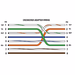 Cable Matters 2-Pack Crossover Adapter (Crossover Cable Adapter)