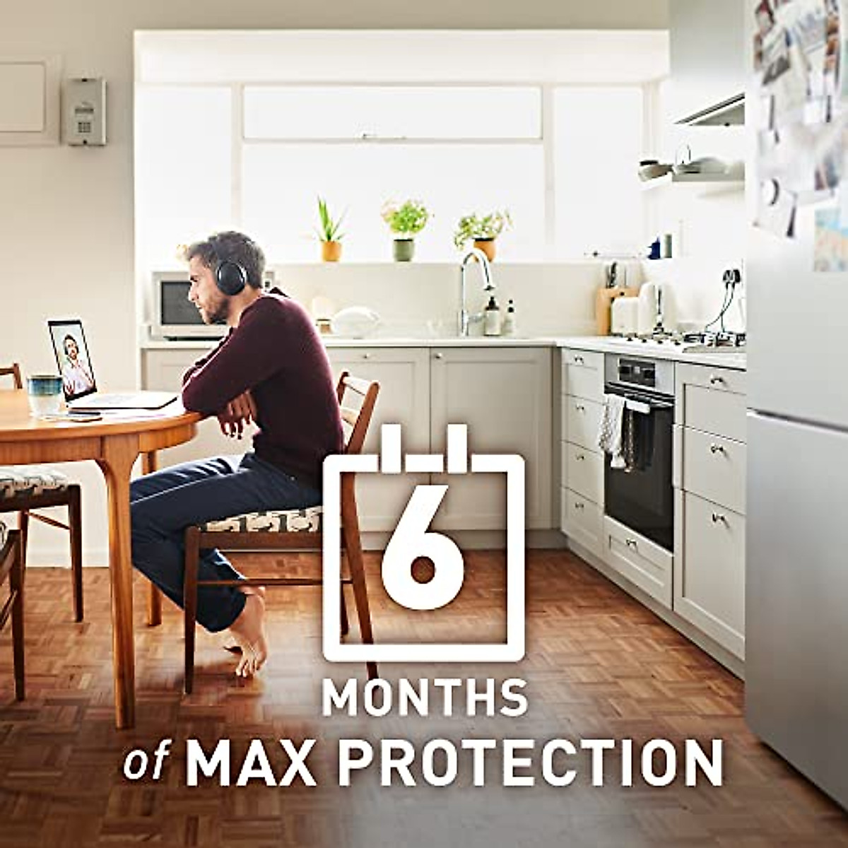 Raid Max Ant and Roach Spray, 14.5 OZ (Pack of 6)