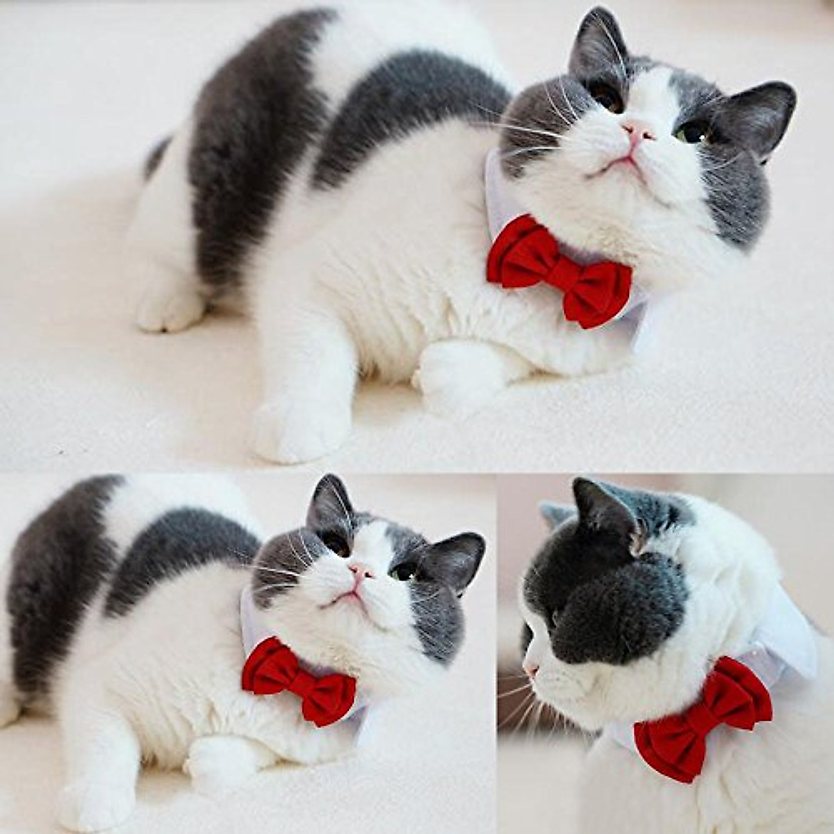 Bolbove Adjustable Formal Pet Bowtie Collar Neck Tie for Dogs & Cats (Small, Red)