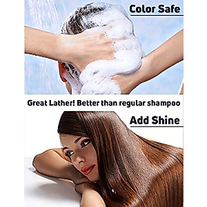 Clever Yoga Wave Natural Shampoo Bar Variety Pack - Handmade, Non-GMO & Vegan, Fresh Citrus, Argan Oil & Unscented Organic Shampoo Bar Set For Shiny Hair for Women & Men, Long-Lasting (80-120 Uses)